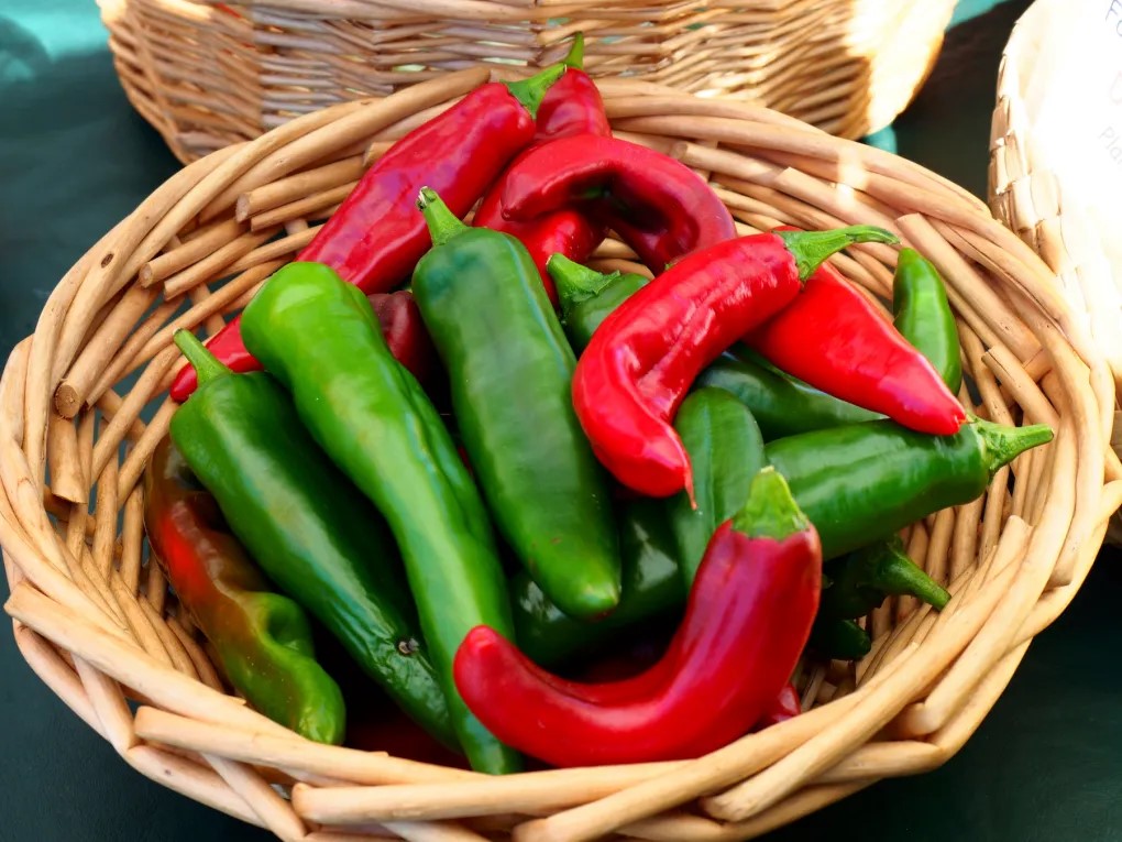 Hatch Chile World